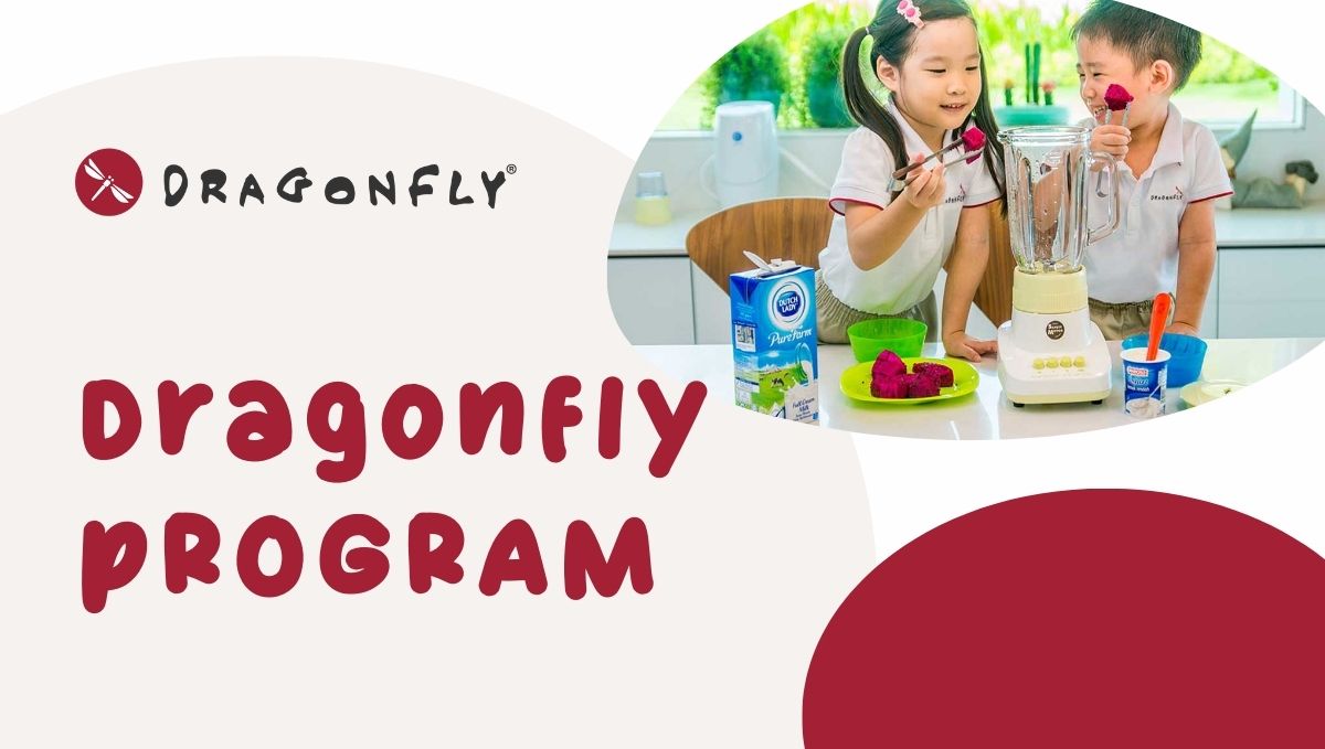 Dragonfly Toddler Programs | 12 to 24 months old | Toddler Care ...